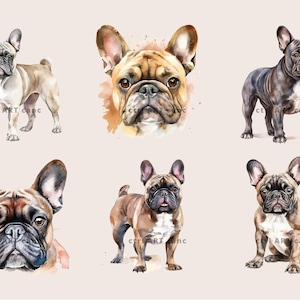 30 French Bulldog Clip Art, Watercolor Dog, PNG, Frenchie, Watercolor ...