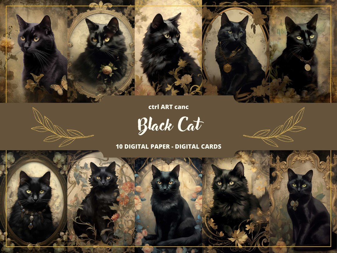 Black Cat Digital Paper: Occult Journal Kit (digital Download) - Etsy