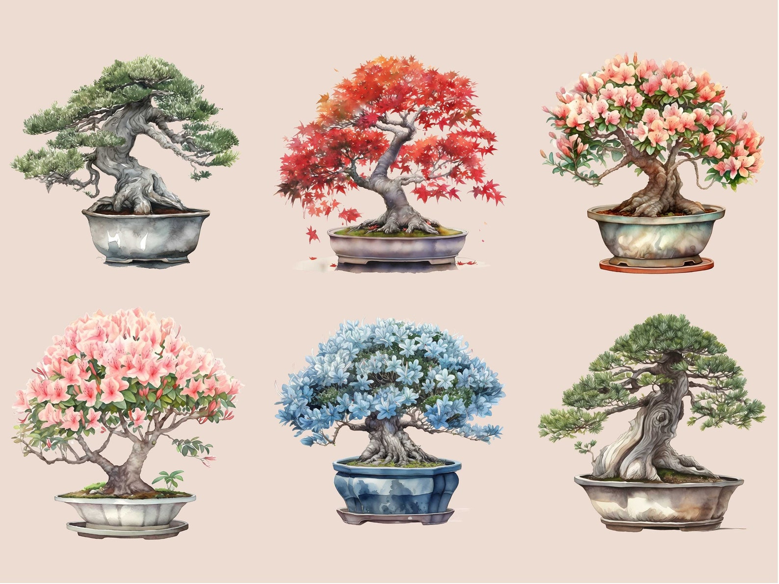 30 Bonsai Clipart, Watercolor Bonsai, Little Tree, Japanese Clipart ...