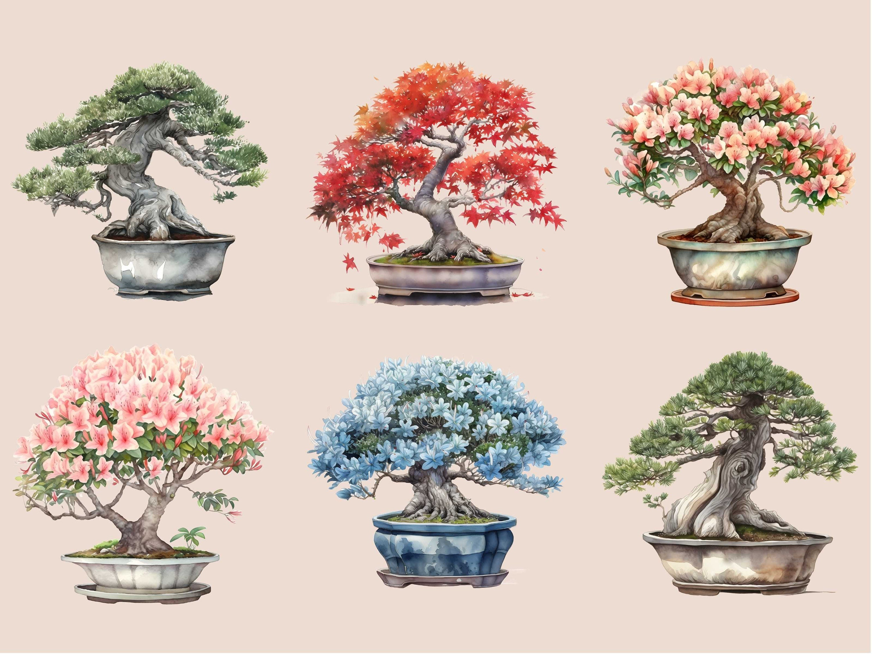 30 Bonsai Clipart Watercolor Bonsai Little Tree Japanese - Etsy Australia