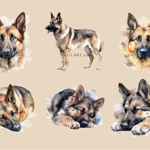 30 German Shepherd Clip Art, Watercolor, PNG, Dog Clipart, Watercolor ...