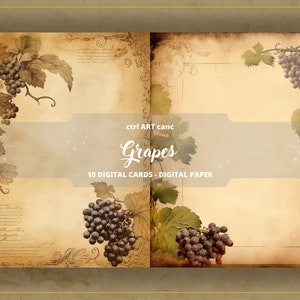 10 Grapes Printable Paper, Wine Digital Paper, Grapes, Junk Journal ...