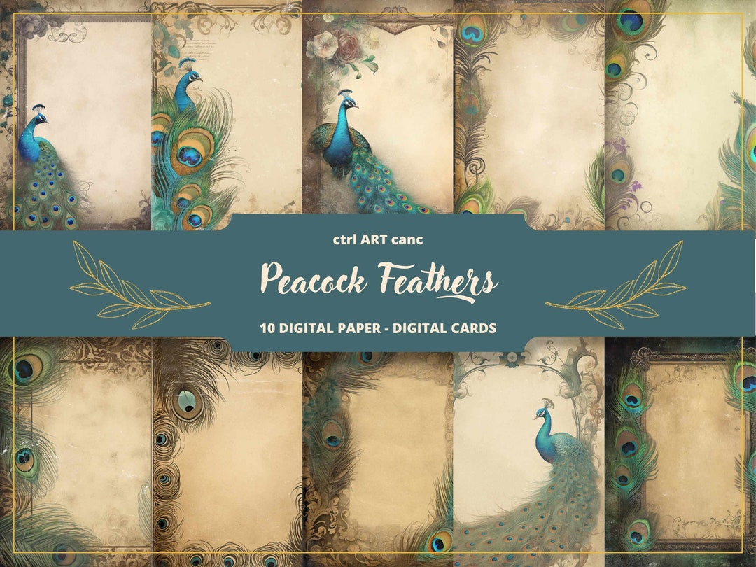 10 Peacock Feathers Printable Paper, Peacock Digital Paper, Junk ...
