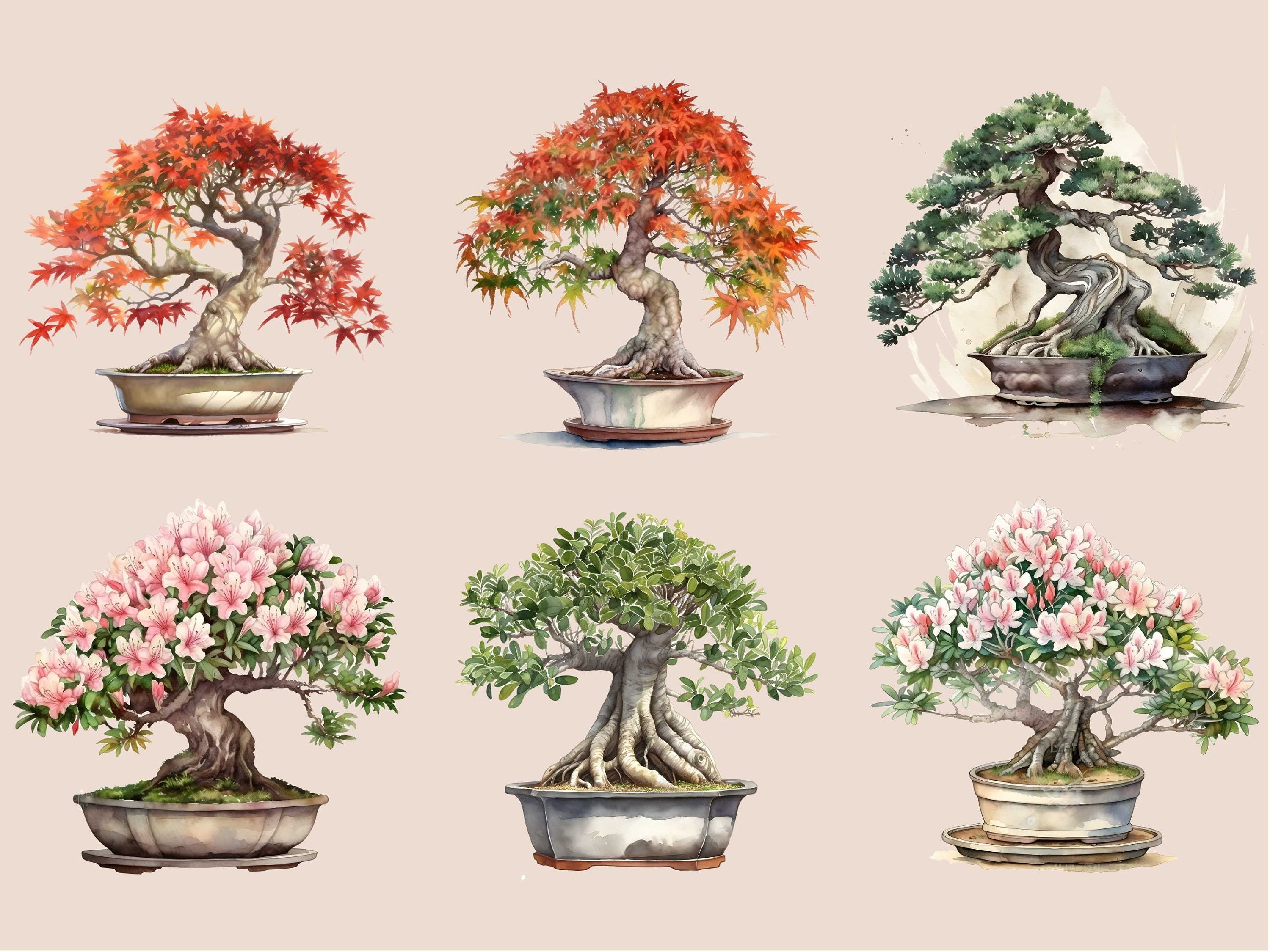 30 Bonsai Clipart Watercolor Bonsai Little Tree Japanese - Etsy Australia