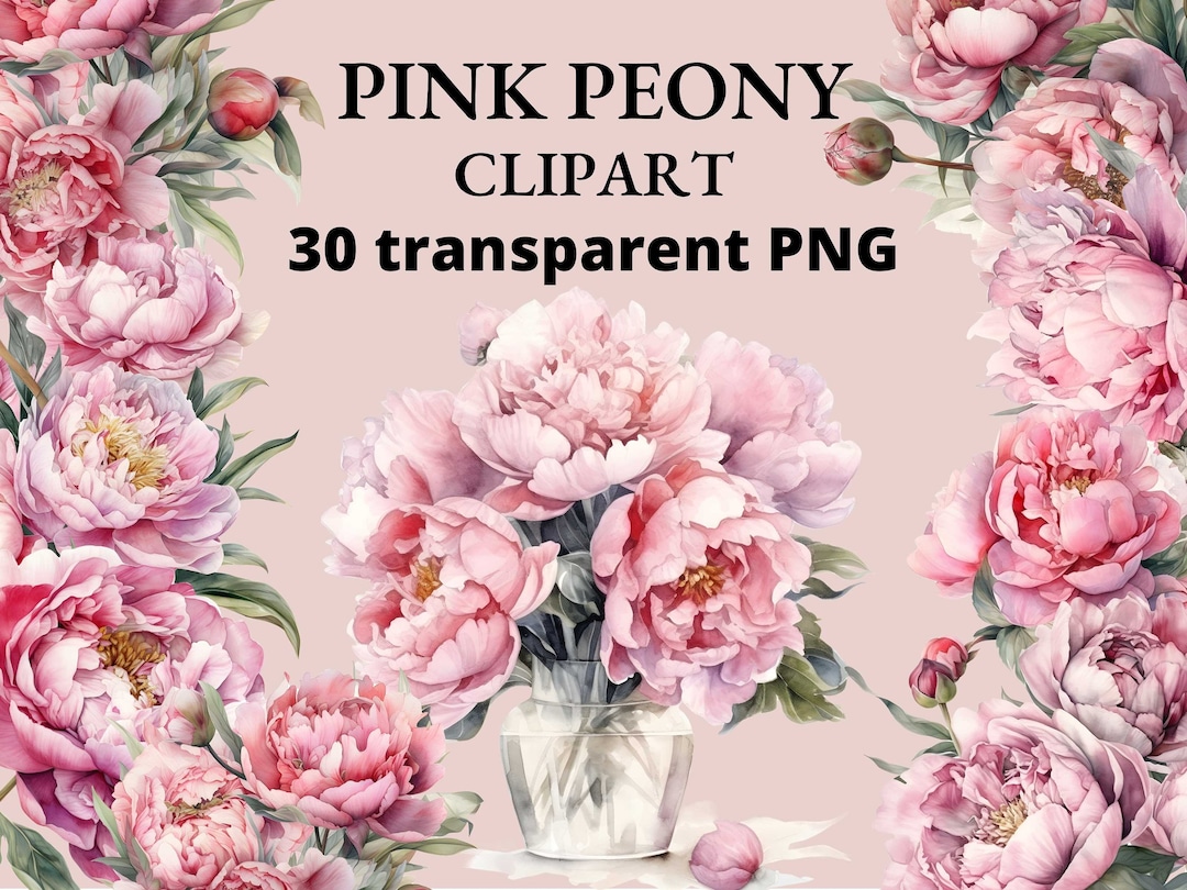 Pink Peony Watercolor Clipart: 30 Flower PNG Bundle (digital Download ...