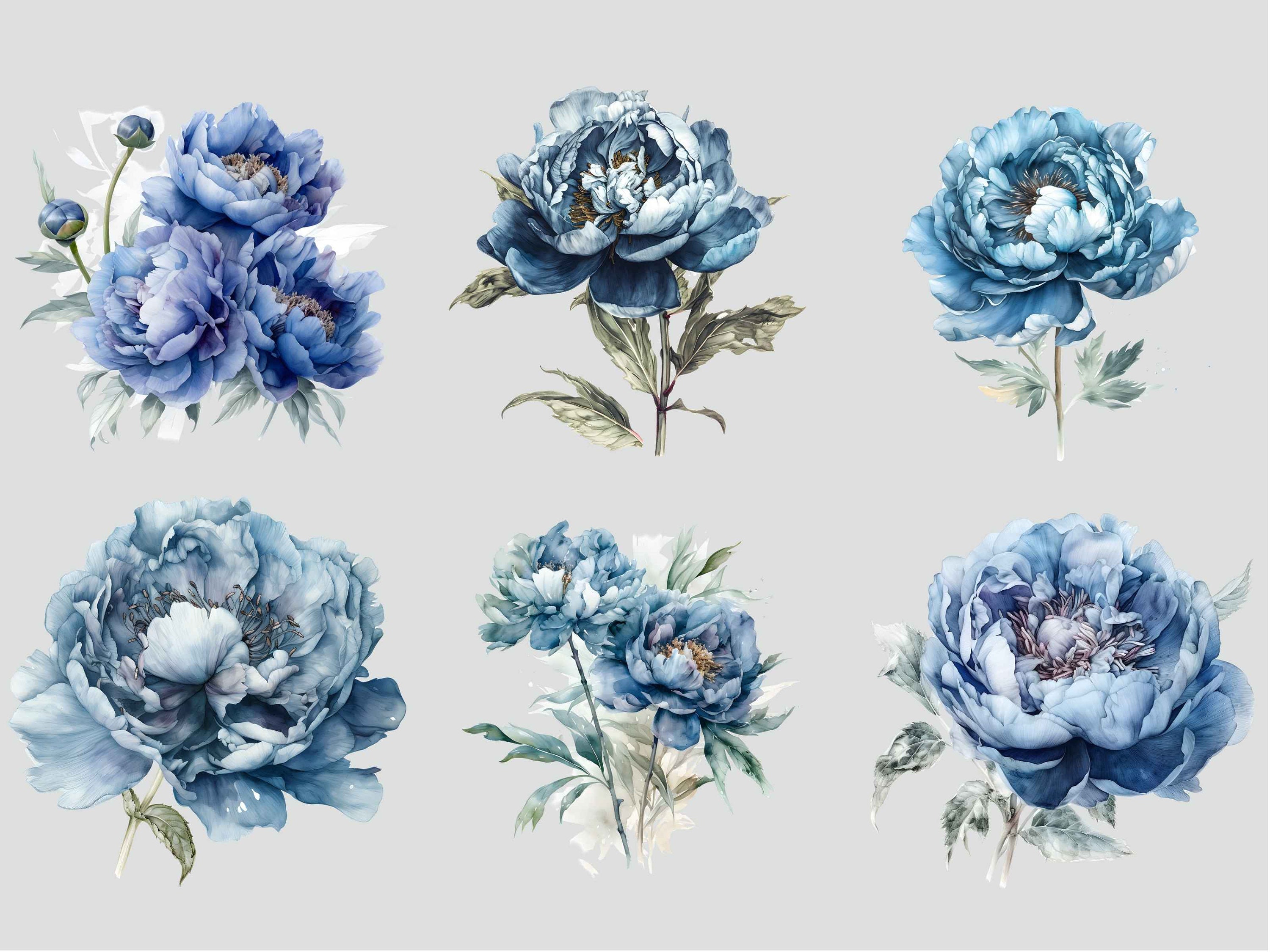30 Blue Peony Clipart Watercolor Peonia Peonies Clipart - Etsy