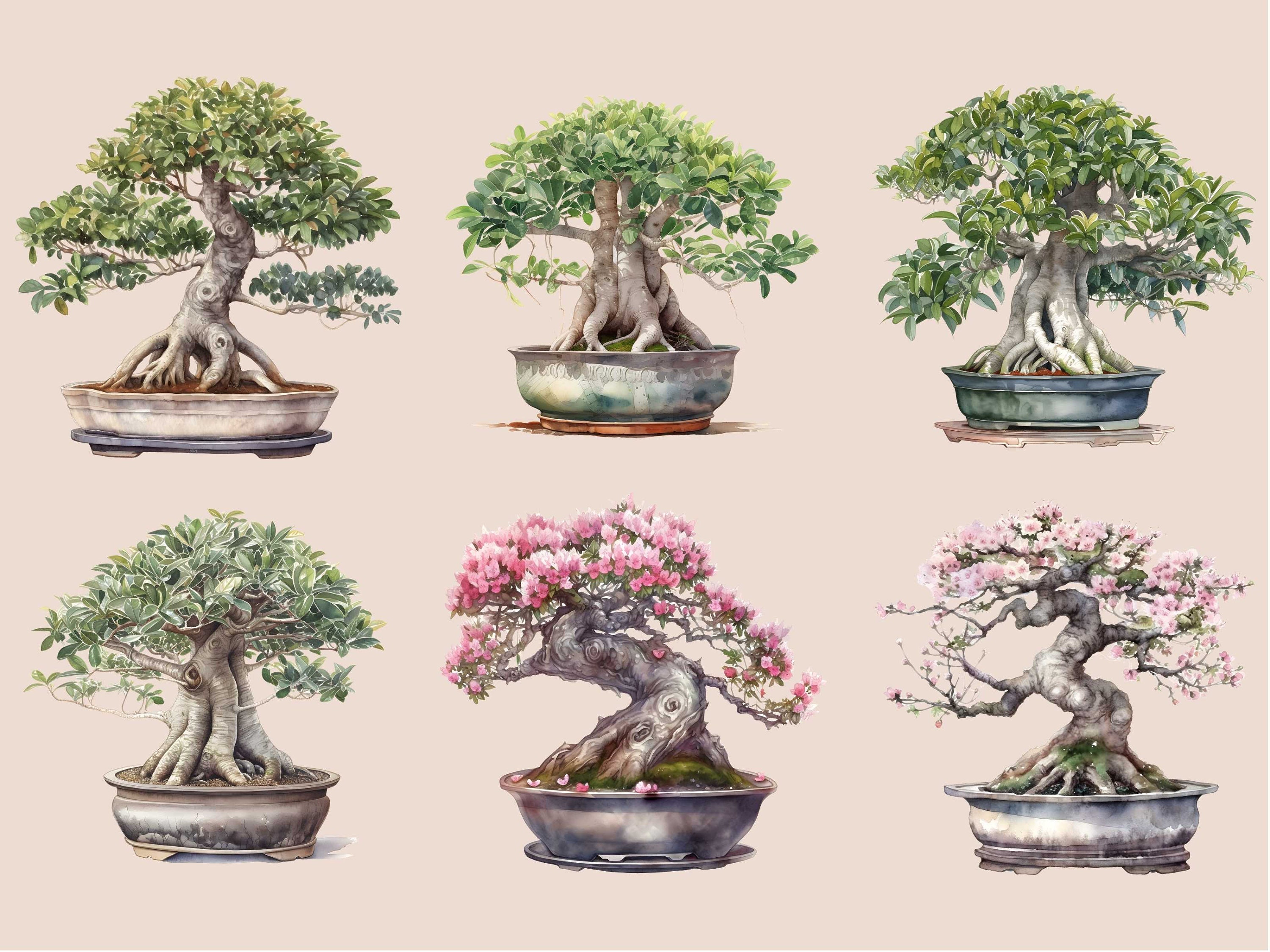 30 Bonsai Clipart Watercolor Bonsai Little Tree Japanese - Etsy Australia