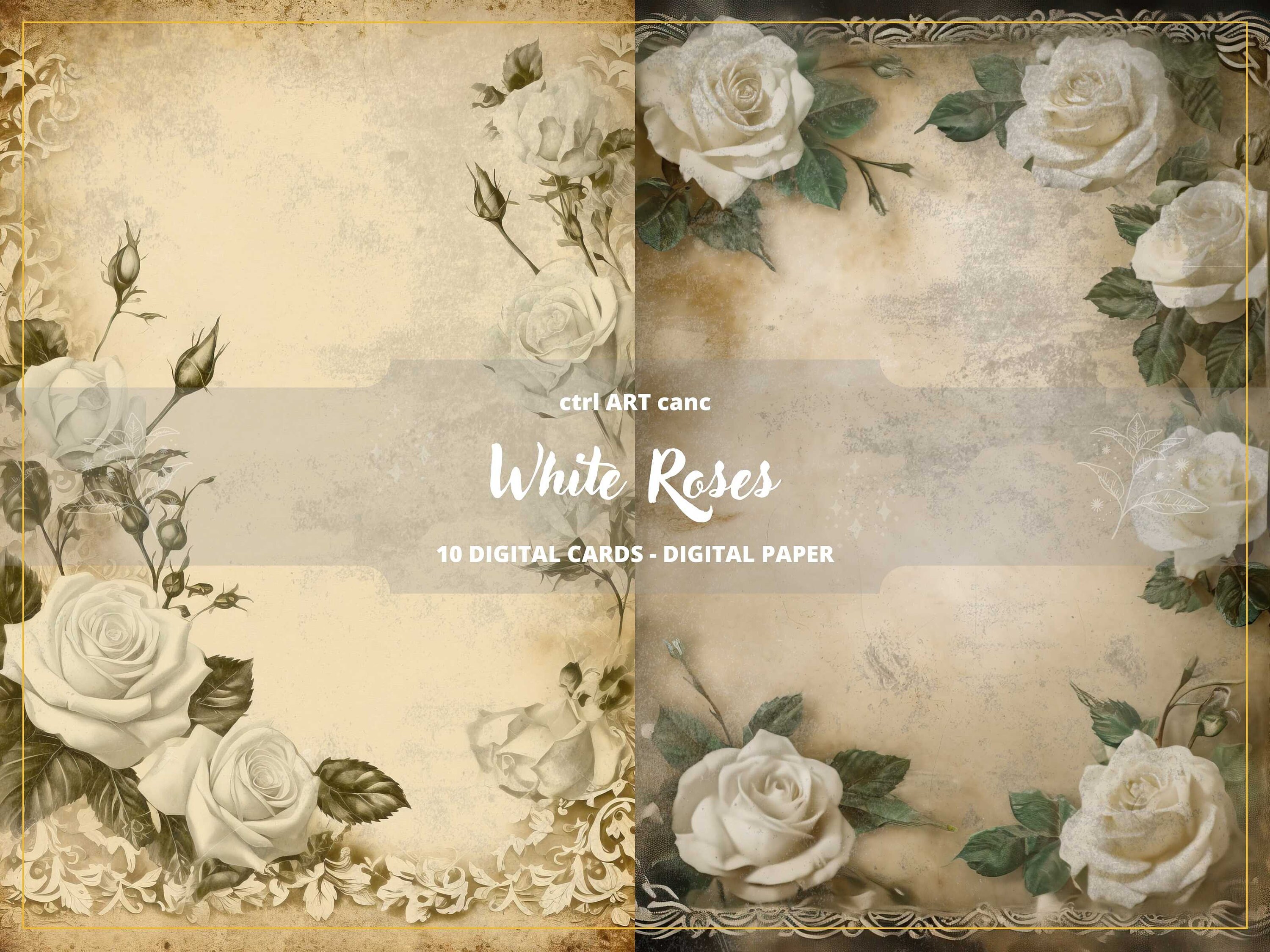 10 White Roses Printable Old Paper White Roses Roses - Etsy