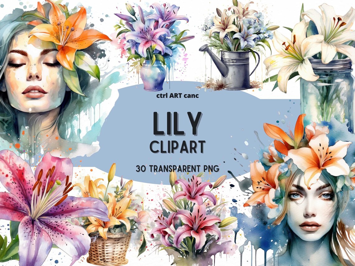 Lily Clipart: Shabby Chic Floral PNG Bundle (digital Art) - Etsy