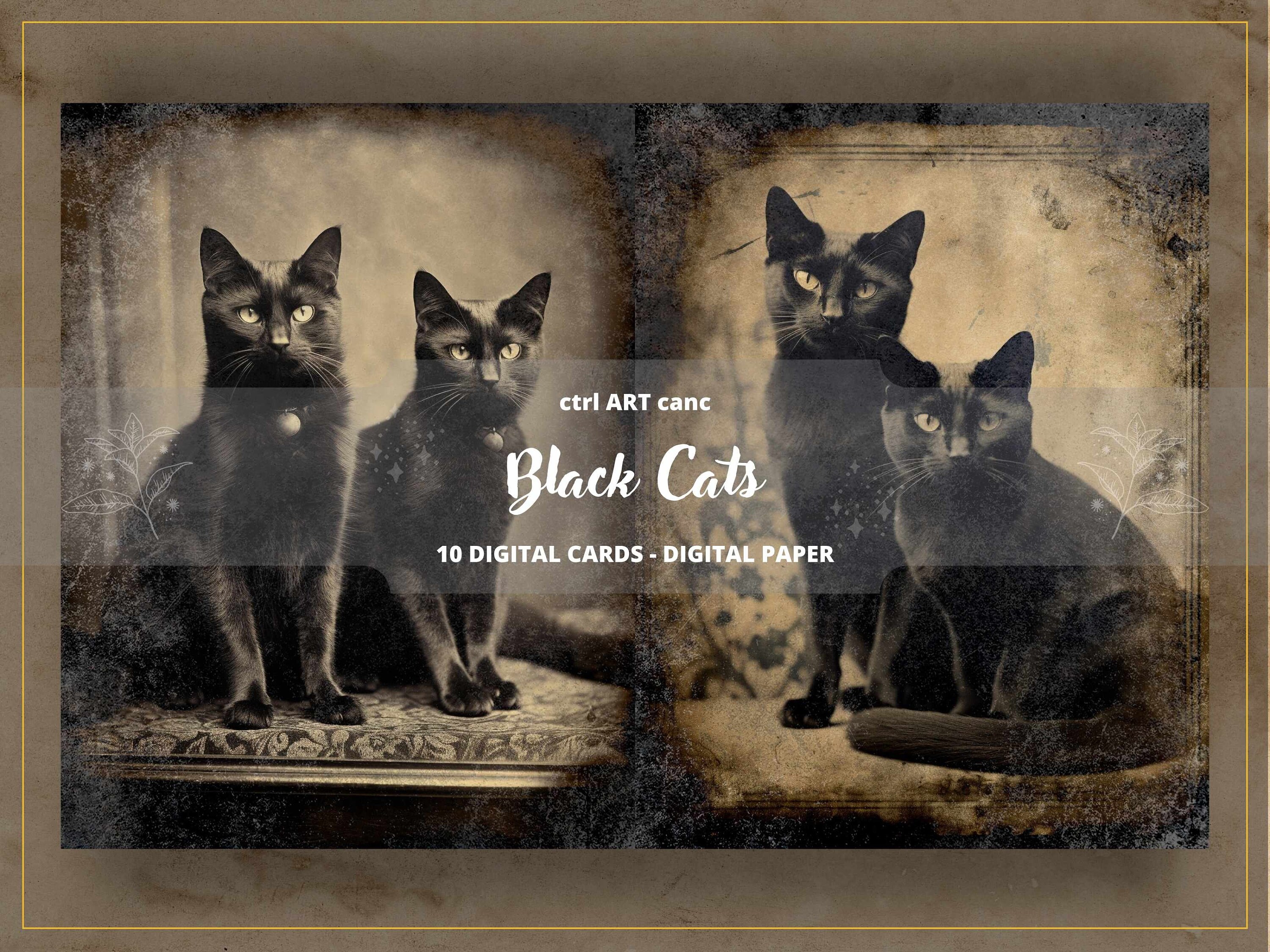 10 Black Cats Printable Vintage Cats Cats Vintage Photos - Etsy UK