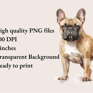 30 French Bulldog Clip Art, Watercolor Dog, PNG, Frenchie, Watercolor ...
