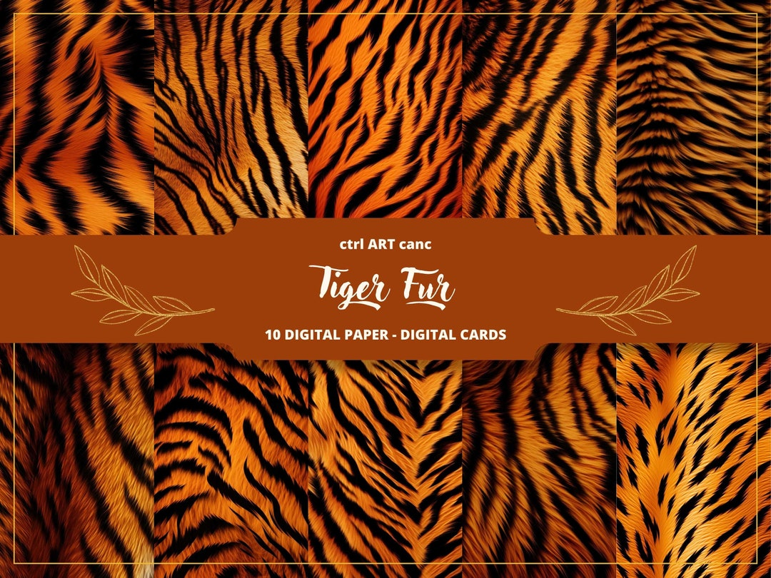 Tiger Fur Digital Paper, Tiger Pattern, Tiger Decorations, Tiger ...