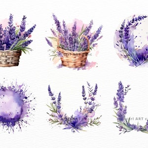 Lavender Floral Clipart: Purple PNG Bundle (digital Download) - Etsy