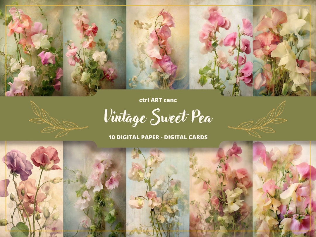 Vintage Sweet Pea Paper: Romantic Floral Journal Kit (digital Download ...