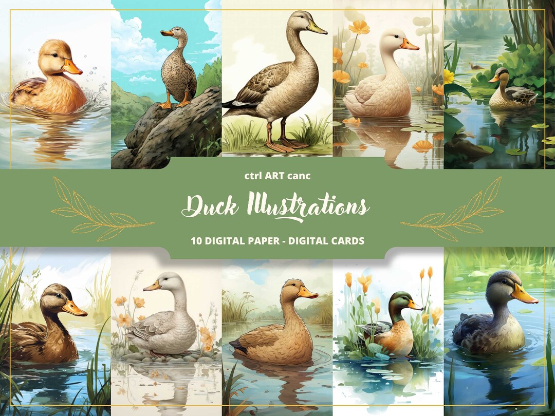 Duck Illustrations Digital Paper, Bird Prints, Bird Decorations, Bird ...