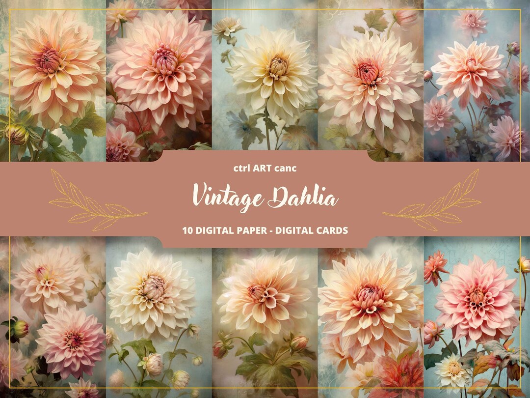 Vintage Dahlia Printable, Dahlia Digital Paper, Romantic Decor, Journal ...