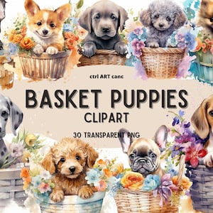 Basket Puppies Clip Art, Puppy Watercolor Clipart, PNG, Watercolor Dog ...
