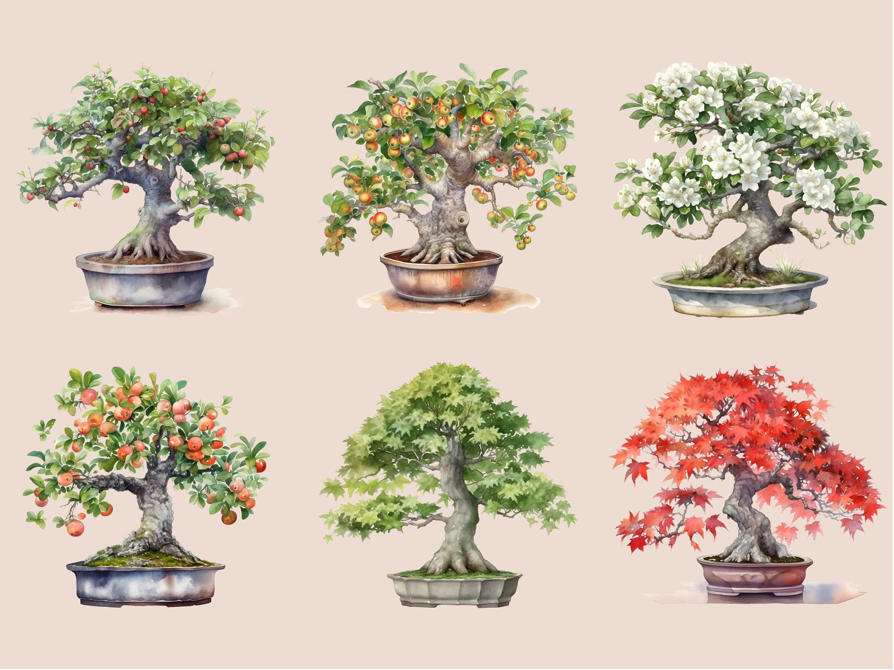 30 Bonsai Clipart Watercolor Bonsai Little Tree Japanese - Etsy Australia