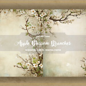 Apple Blossom Branches Digital Paper: Floral Scrapbook Ephemera ...