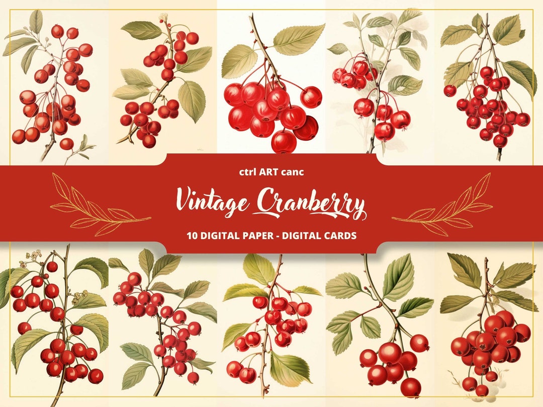 Cranberry Wall Art Fruit Art Red Color Art Vintage Art Kitchen Wall Art ...
