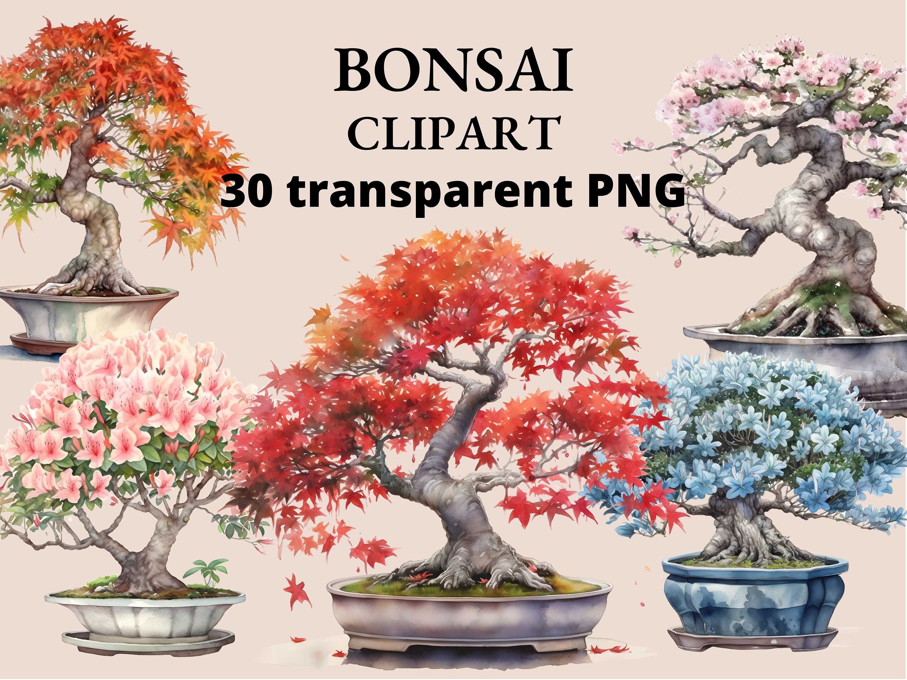 Bonsai Tree Clipart