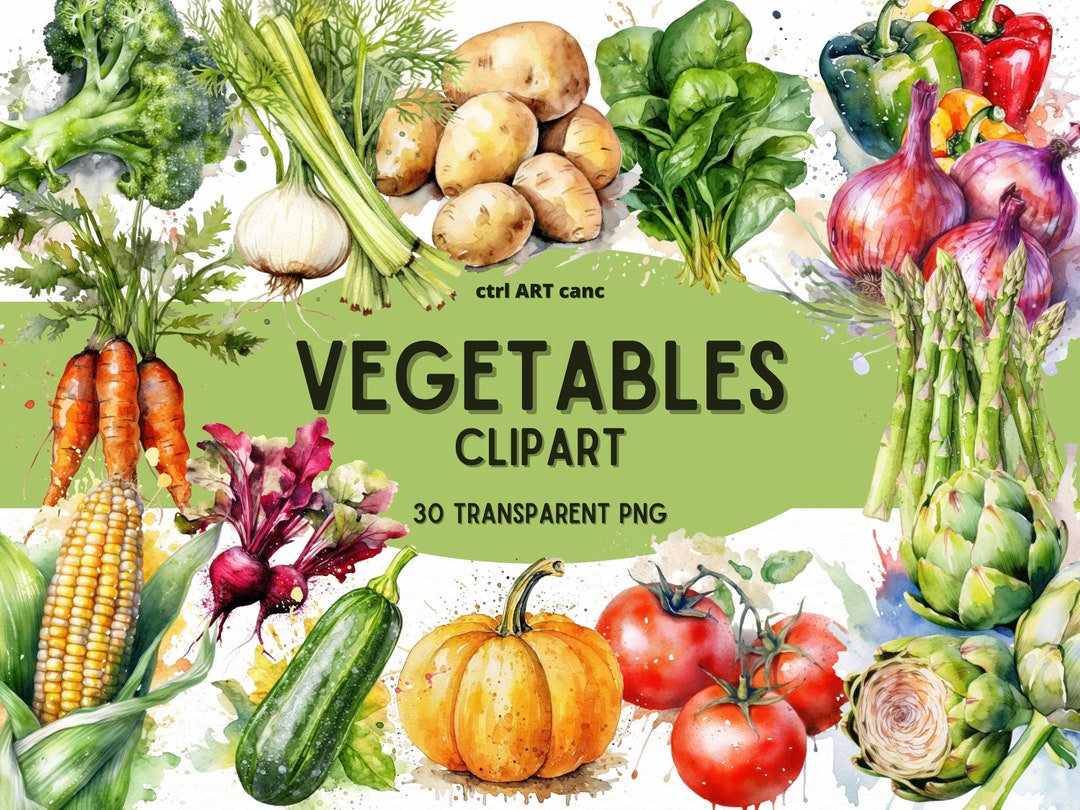 Watercolor Vegetable Clipart: Vegan PNG Bundle (digital Download) - Etsy