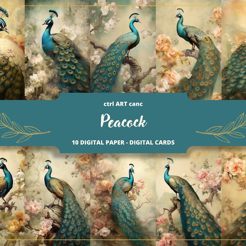 Peacock Digital - Etsy