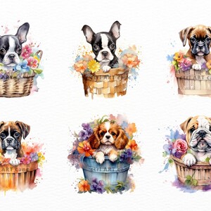 Basket Puppies Clip Art, Puppy Watercolor Clipart, PNG, Watercolor Dog ...