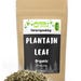 Organic Plantain Leaf,plantago Major,herbal Tea & Remedy Herb for ...