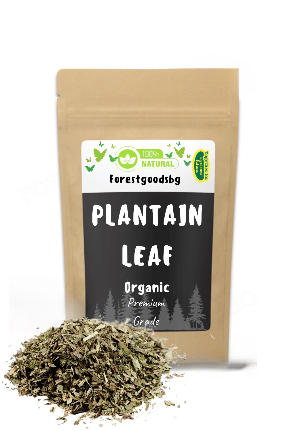 Organic Plantain Leaf,plantago Major,herbal Tea & Remedy Herb for ...