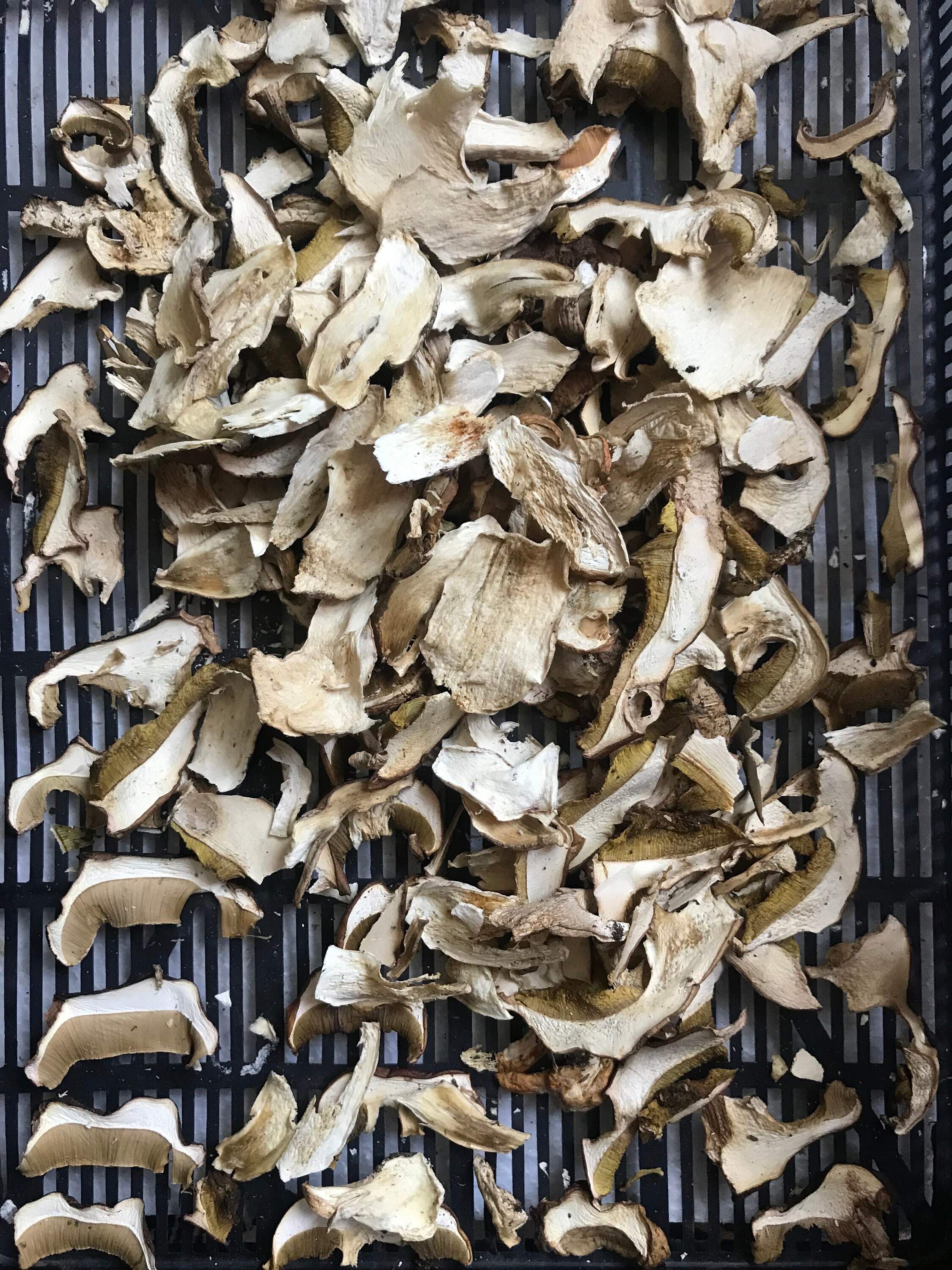 Boletus Edulis - Premium Grade Dried Porcini Mushrooms,boletus Mushroom ...