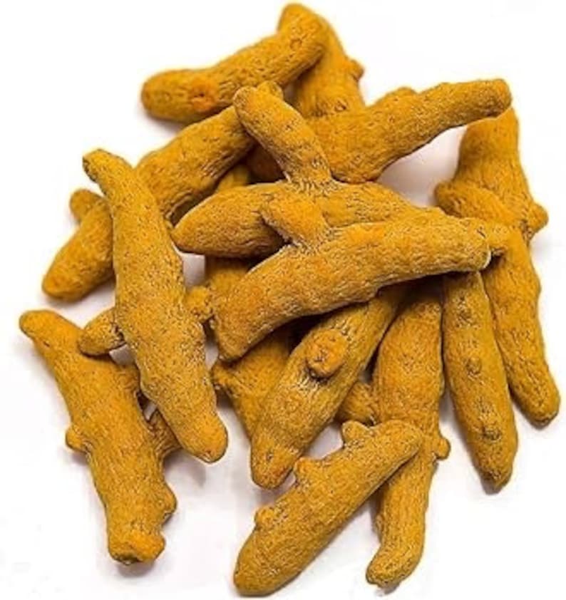 Turmeric | Curcuma | Curcuma Longa | Indian Saffron | Golden Root ...