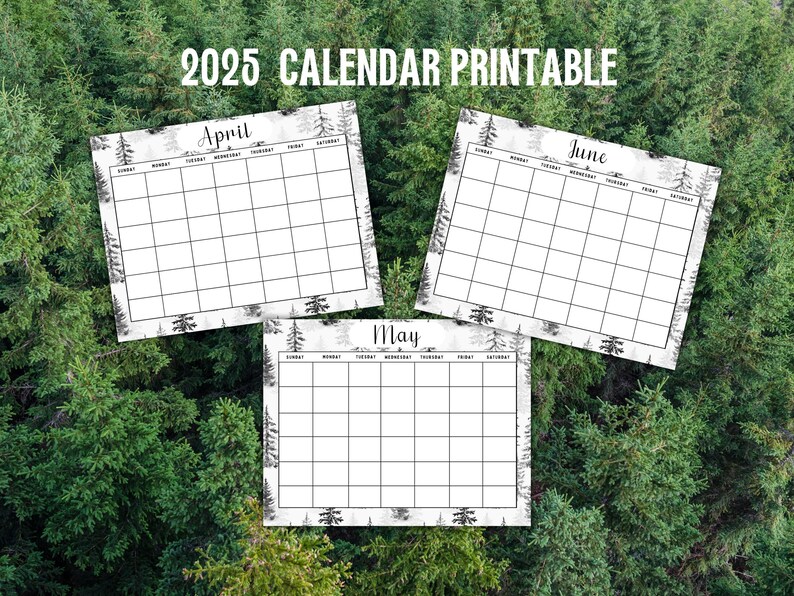 Calendar Planner 2025 Calendar Printable Homeschool Calendar School ...