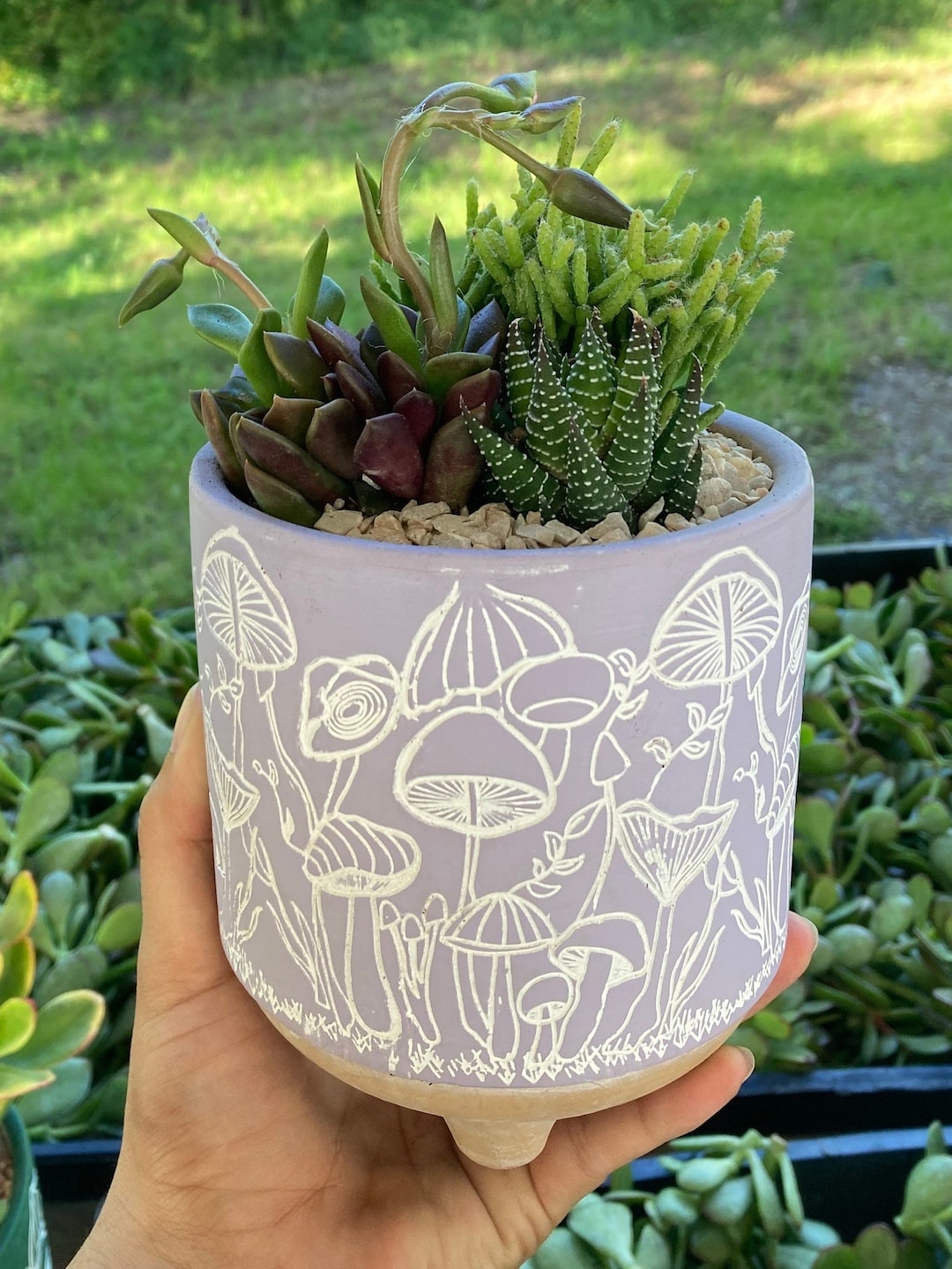 TRENDY Mushroom Forest Terracotta Pot - Unique Glazed Terracotta ...