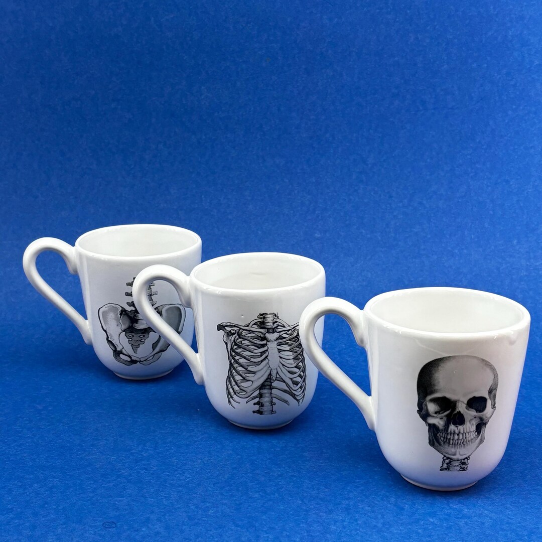 Anatomy Skeleton Mug Set | Skull, Ribcage & Pelvis Mugs | Gothic ...