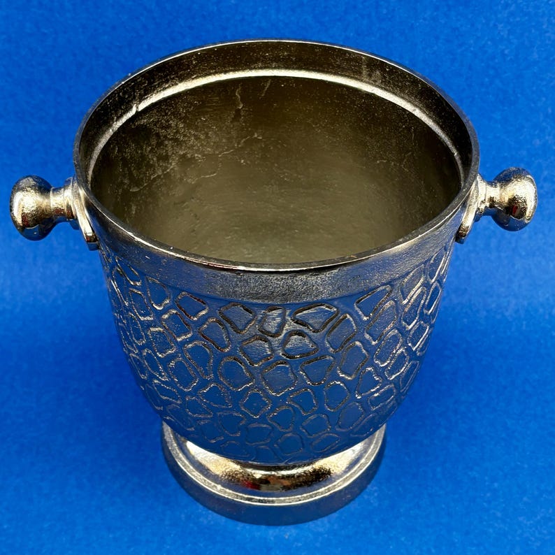 Embossed Giraffe Print Ice Champagne Bucket | Unique Planter - Etsy