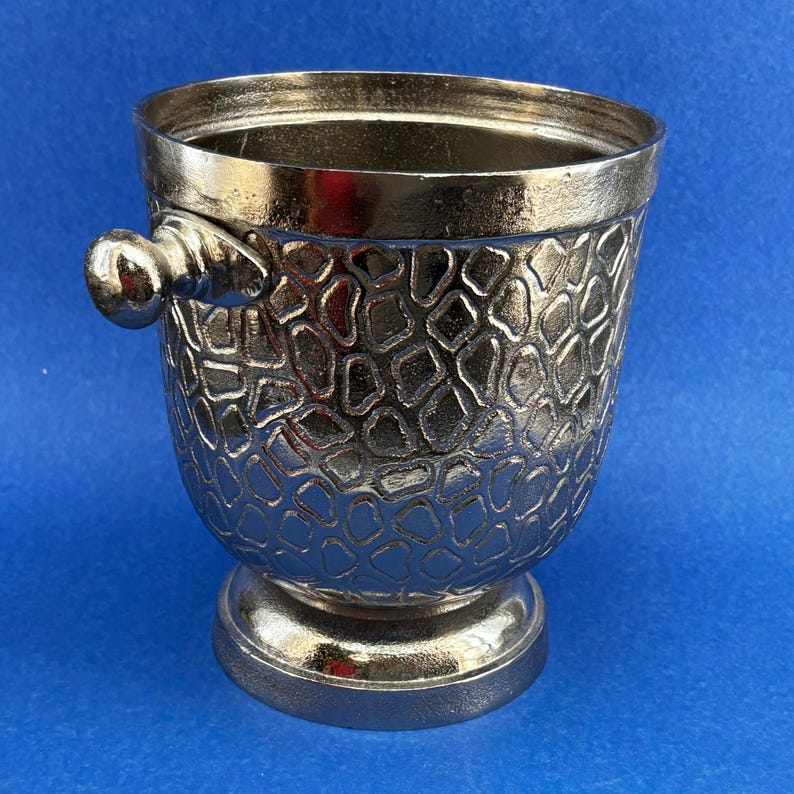 Embossed Giraffe Print Ice Champagne Bucket | Unique Planter - Etsy