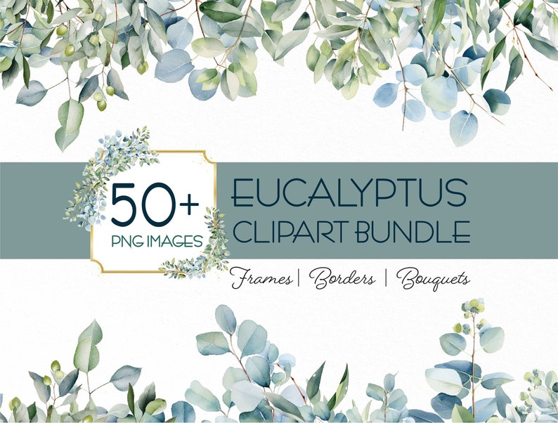 Watercolor Eucalyptus Leaves Clipart, PNG, No Background, Shower ...