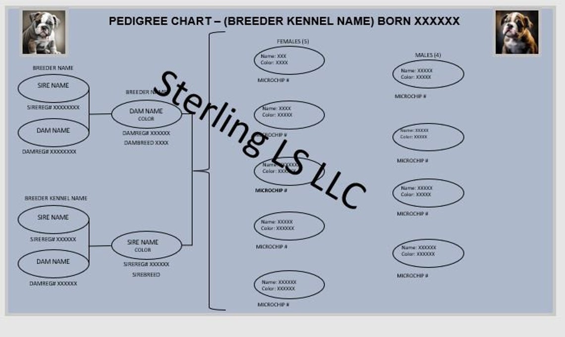 Puppy Litter Formatted Pedigree Chart Template Digital Files .pptx ...