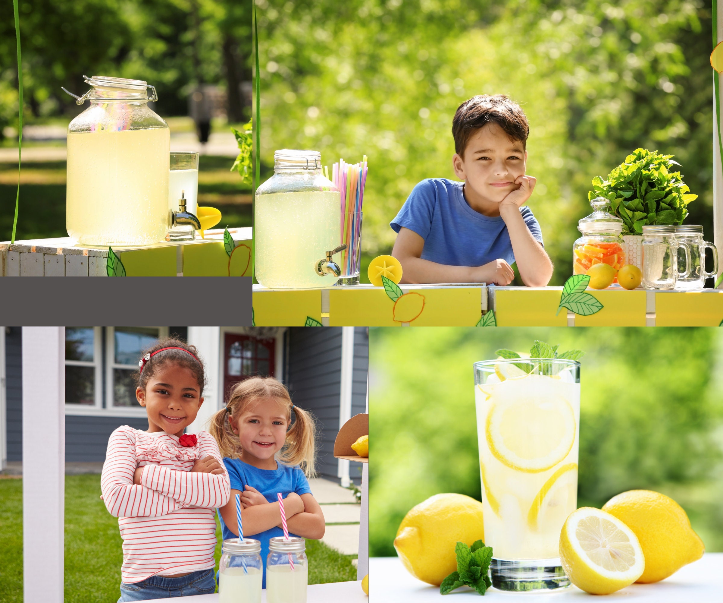 Personalized Lemonade Stand Menu, Blue Gingham Editable and Printable ...