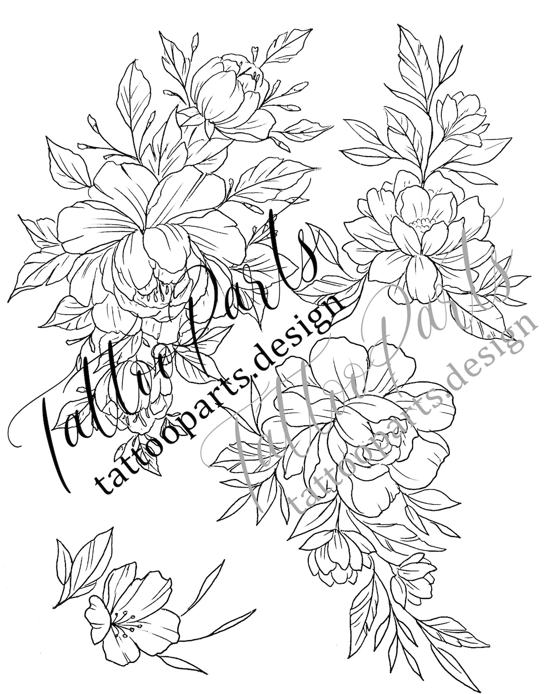 Peony Outline - Etsy Australia