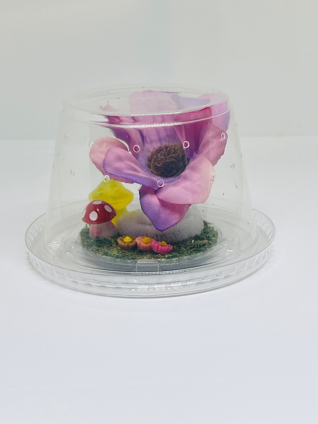 Mini Jumping Spider Habitat-handcrafted 4 Oz. Enclosure for Tiny Slings ...