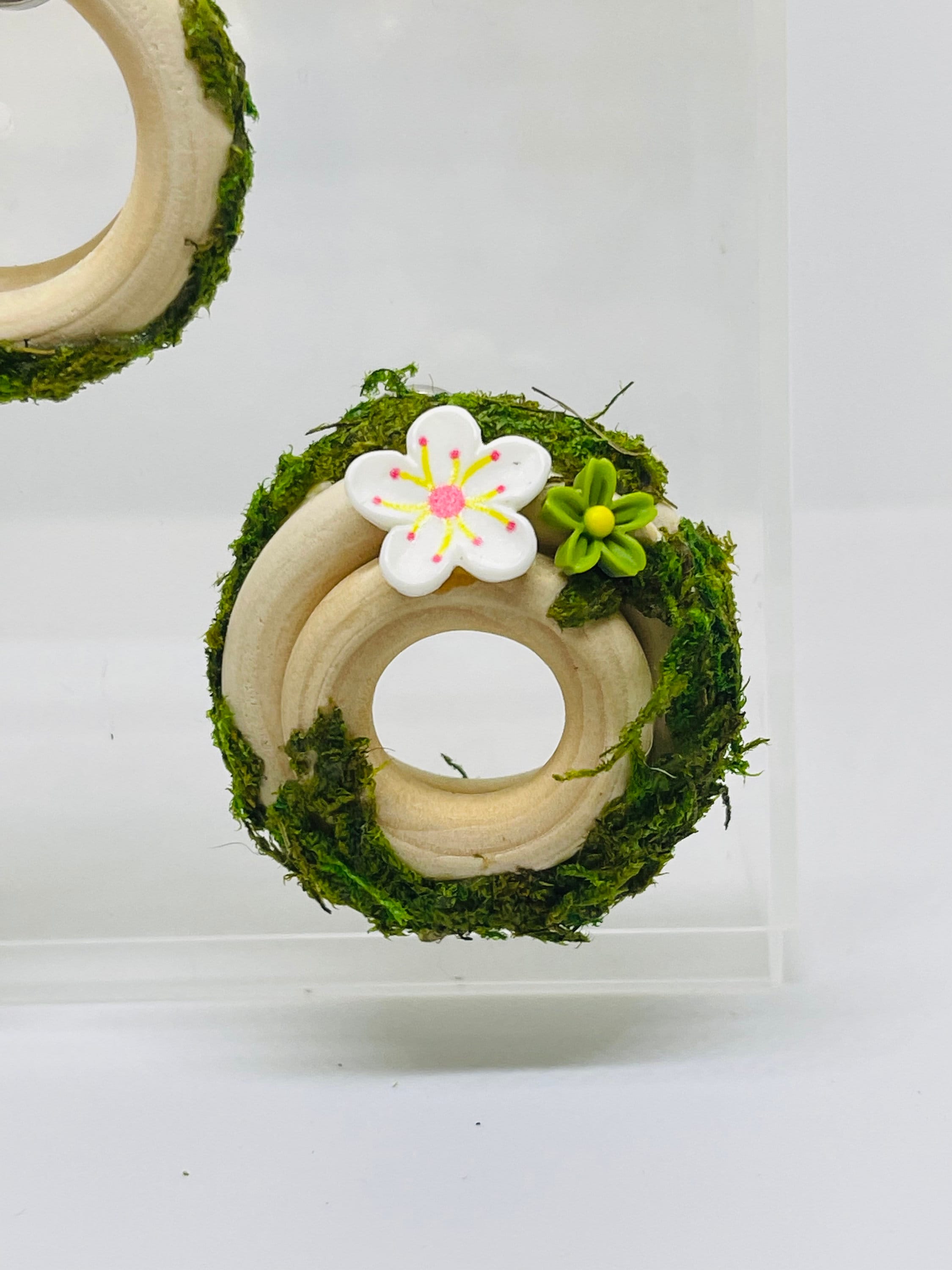 Ring Hide for Jumping Spiders: Moss & Flower Enrichment Toy - Etsy