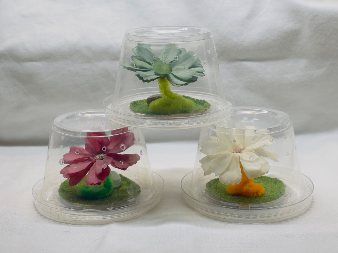 Mini Enclosureroundjumping Spider 4 Oz. Home for Your Little Spoods - Etsy