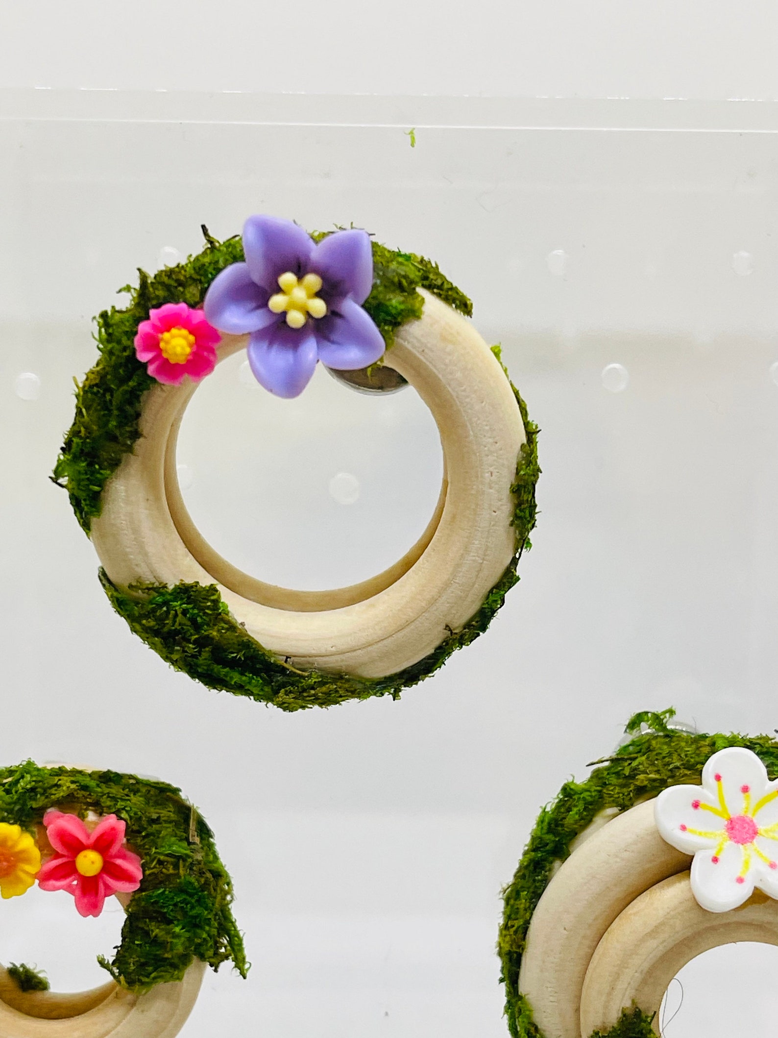 Ring Hide for Jumping Spiders: Moss & Flower Enrichment Toy - Etsy