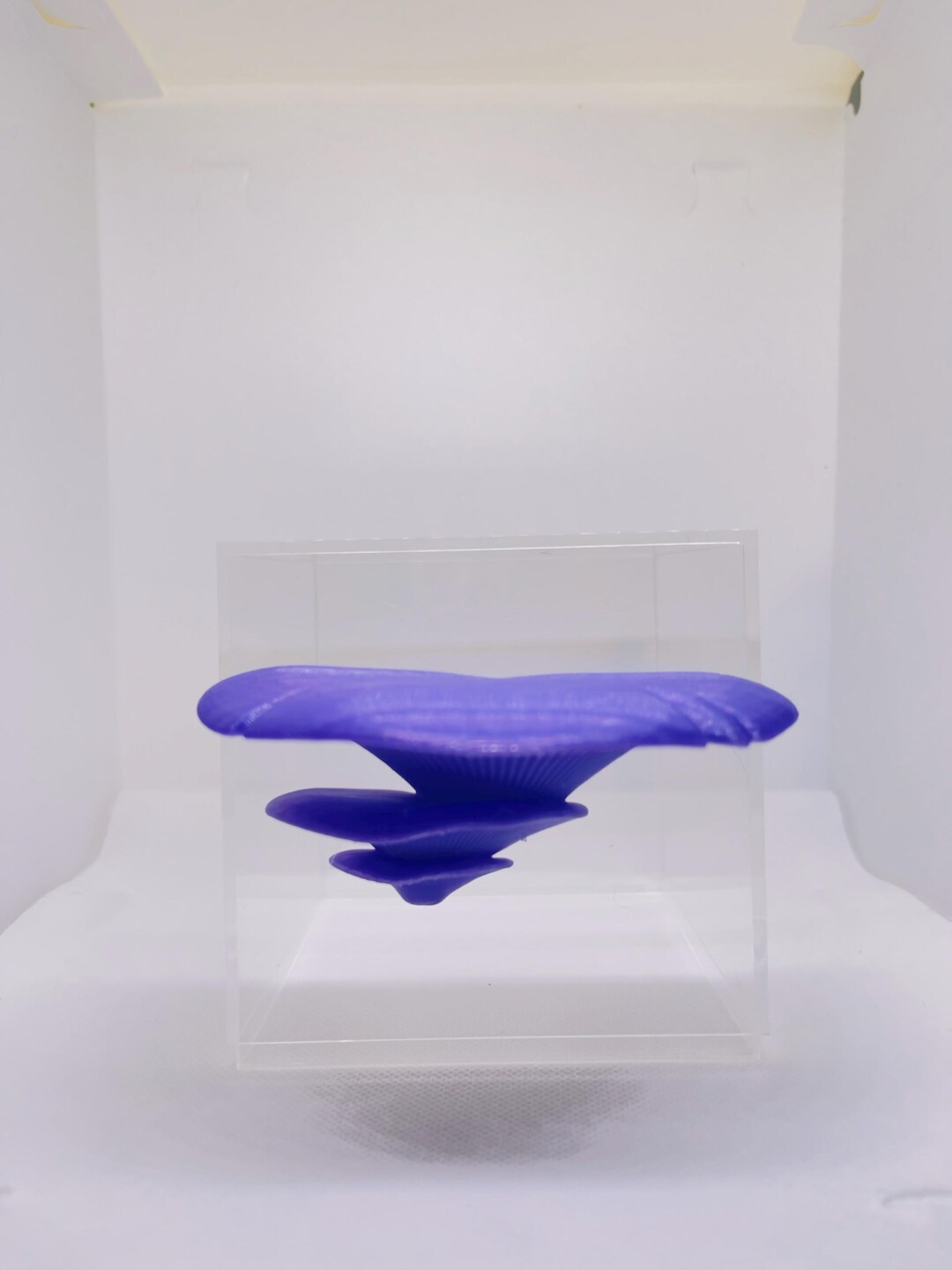 3D Printed Mushroom Ledge: Jumping Spider Habitat, Two Sizes - Etsy