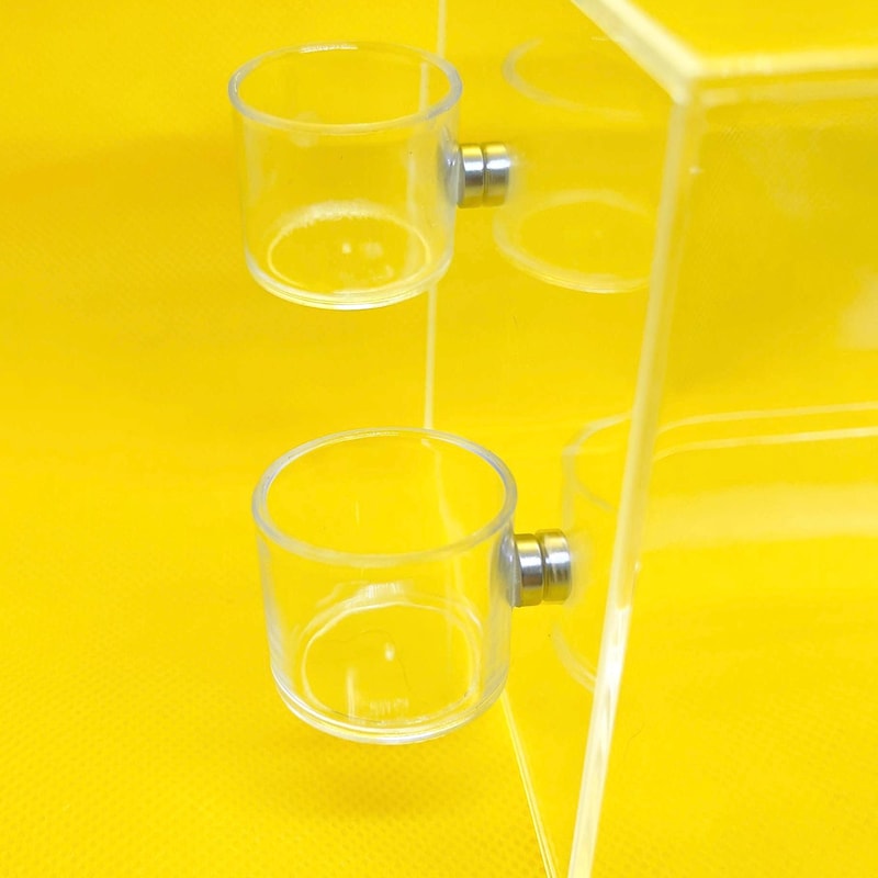 Feeder for Jumping Spider - Etsy