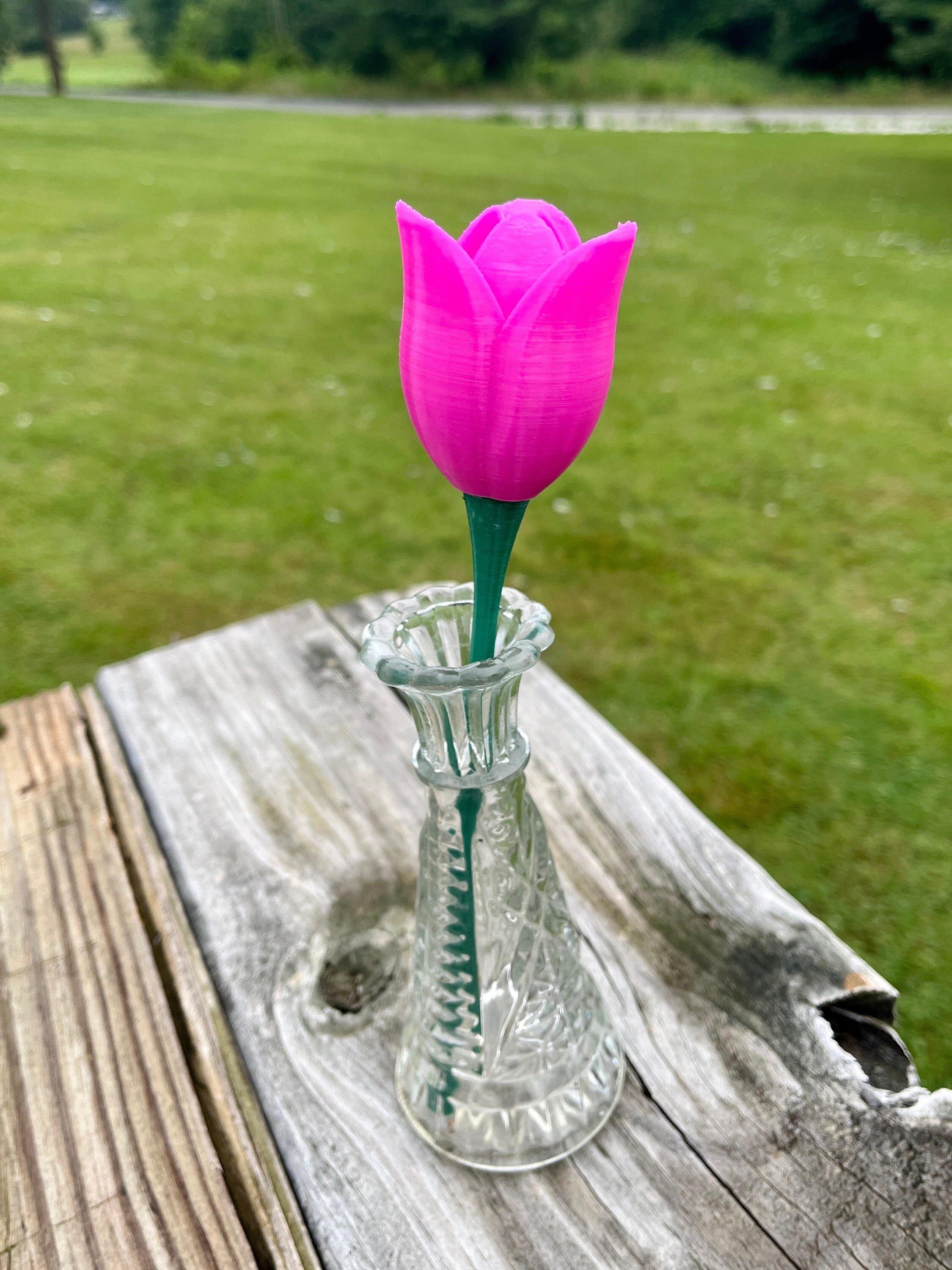 One 3D Printed Tulip Flower Custom - Etsy
