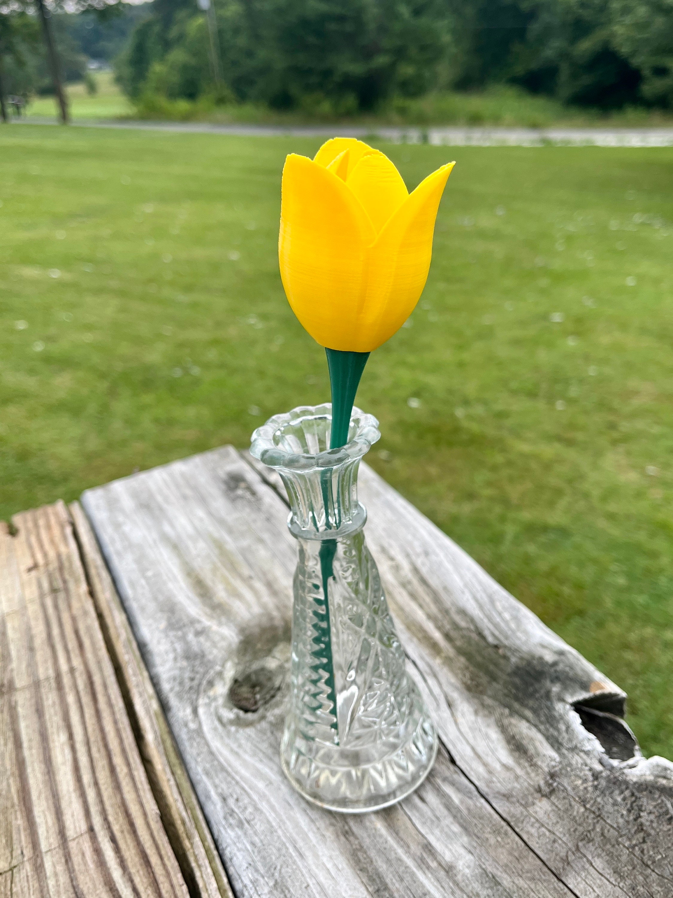 One 3D Printed Tulip Flower Custom - Etsy