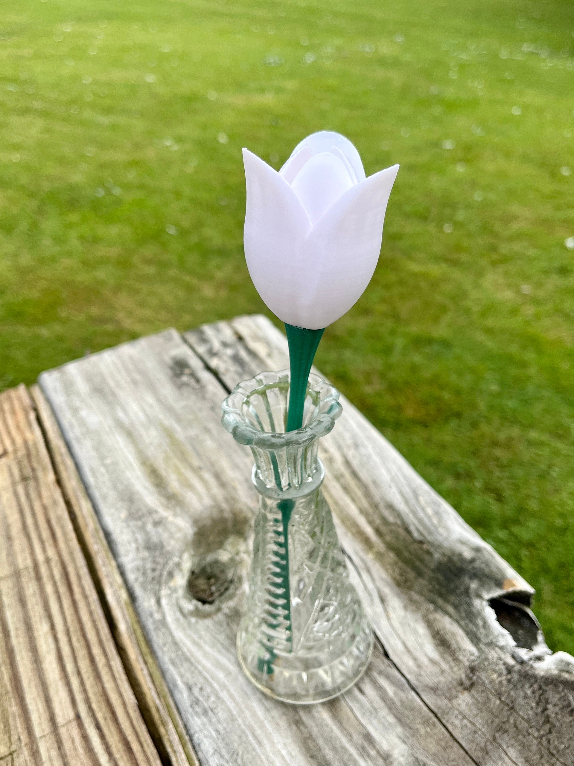 One 3D Printed Tulip Flower Custom - Etsy